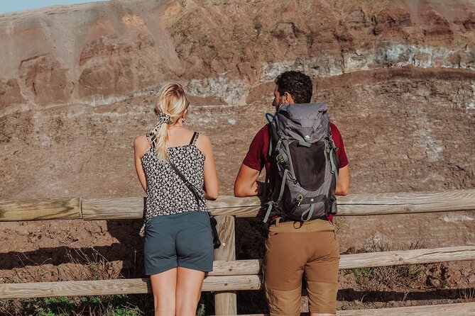 Skip the Line Ticket for Mount Vesuvius | Travel Buddies