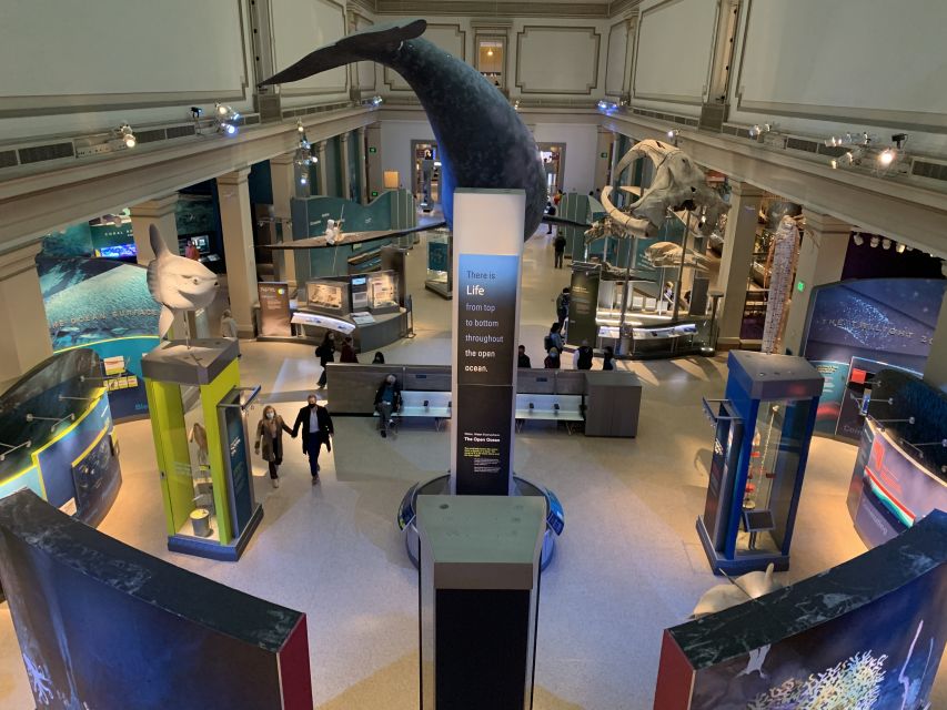 Smithsonian National Museum of Natural History Guided Tour | Travel Buddies
