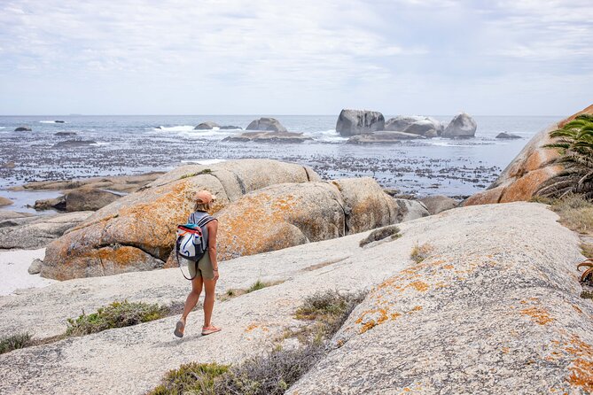 The Mountain to Sea Adventure | Travel Buddies