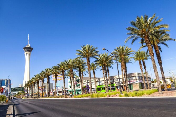 The STRAT Tower Unlimited Ride Pass Ticket | Travel Buddies