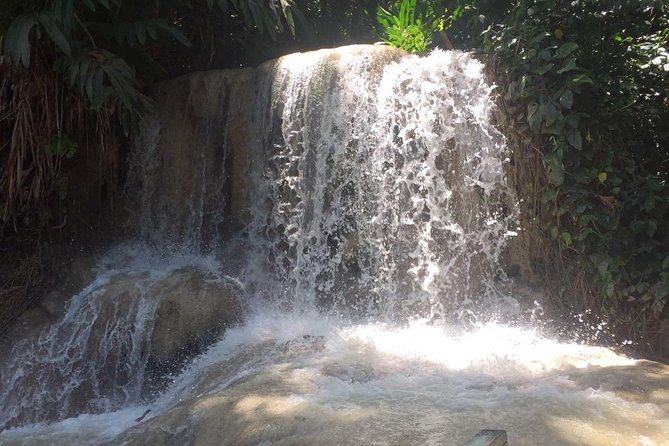 Turtle River Falls and Gardens Private Tour | Travel Buddies