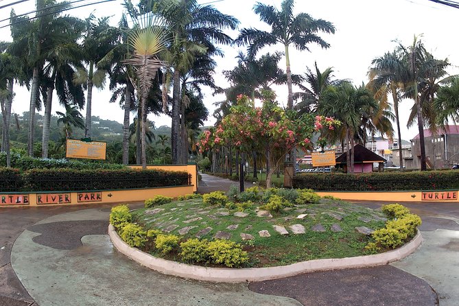 Turtle River Park and Panoramic Sightseeing in the Hills | Travel Buddies