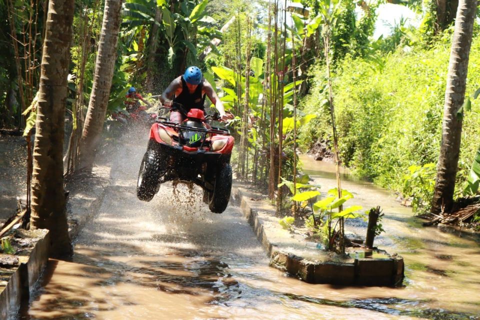 Ubud: Bali Fun Adventure ATV Quad Bike Ride | Travel Buddies