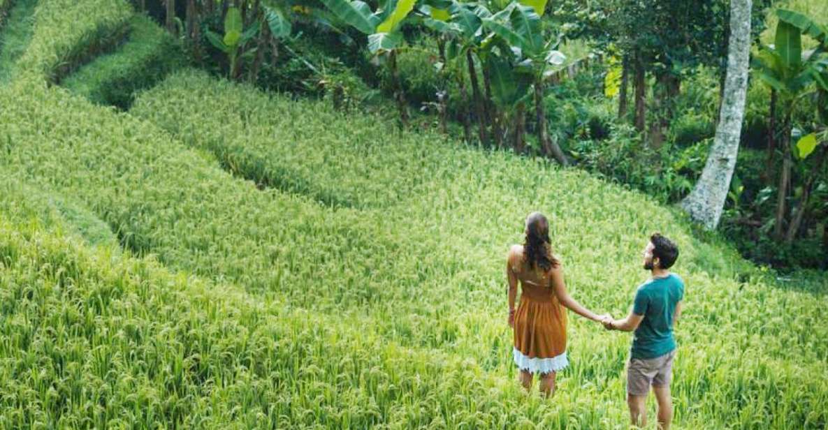 Ubud Highlights Tour: Balis Immersive Adventures | Travel Buddies