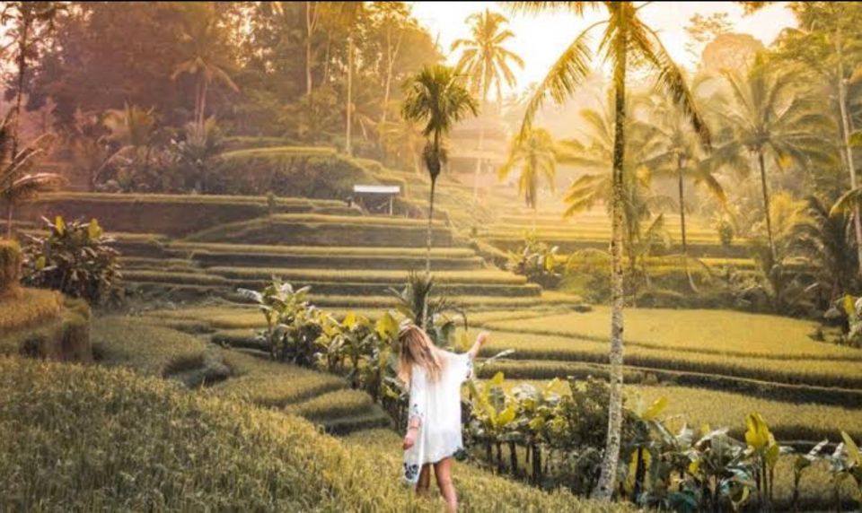 Ubud: Rice Terrace, Water Temple And Waterfall Private Tours | Travel ...