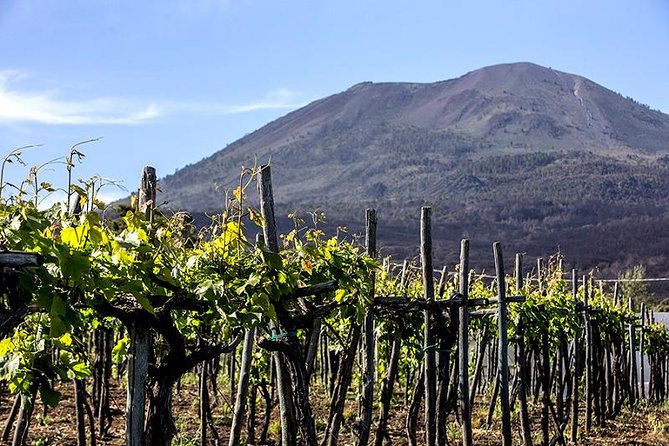 Vesuvio Gran Cono: A Complete Review | Travel Buddies