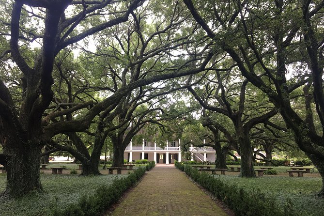 Whitney Plantation and Airboat Tour From New Orleans | Travel Buddies