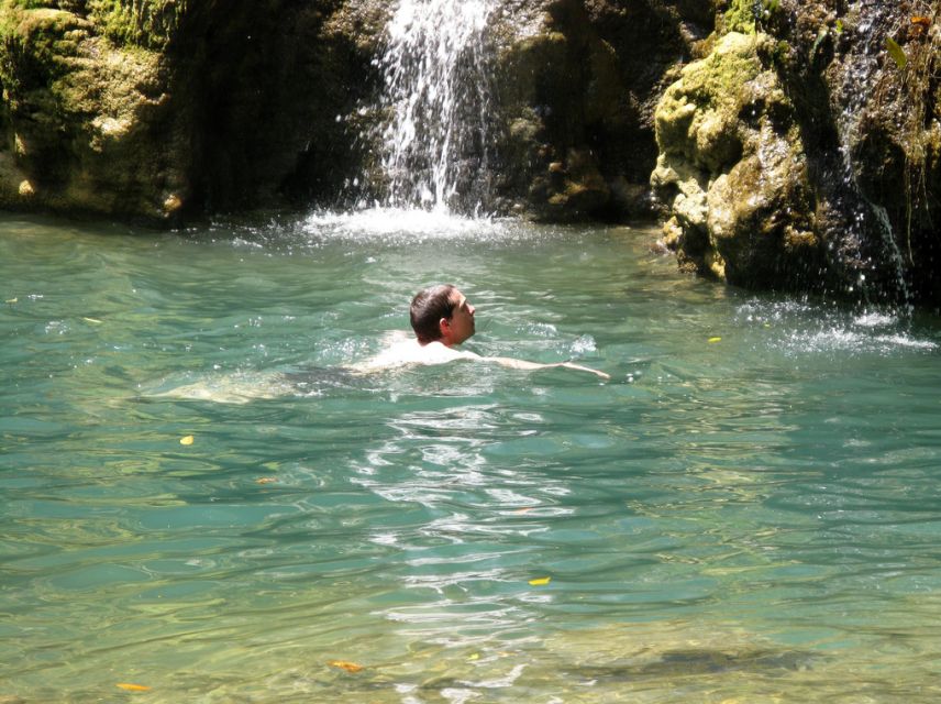 YS Falls & Appleton Estate Rum Tour From Montego Bay | Travel Buddies